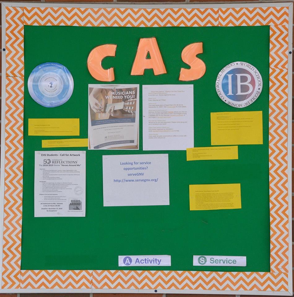 IB Program / CAS